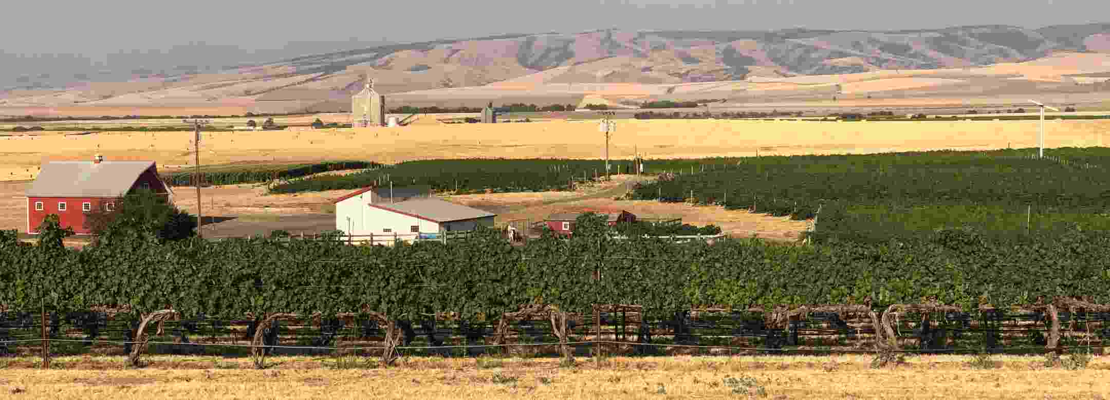 Feeling the Heat in Walla Walla - Dumas Station Wines