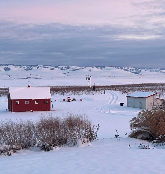 Late Winter Weather in the Vineyard - Dumas Station Wines
