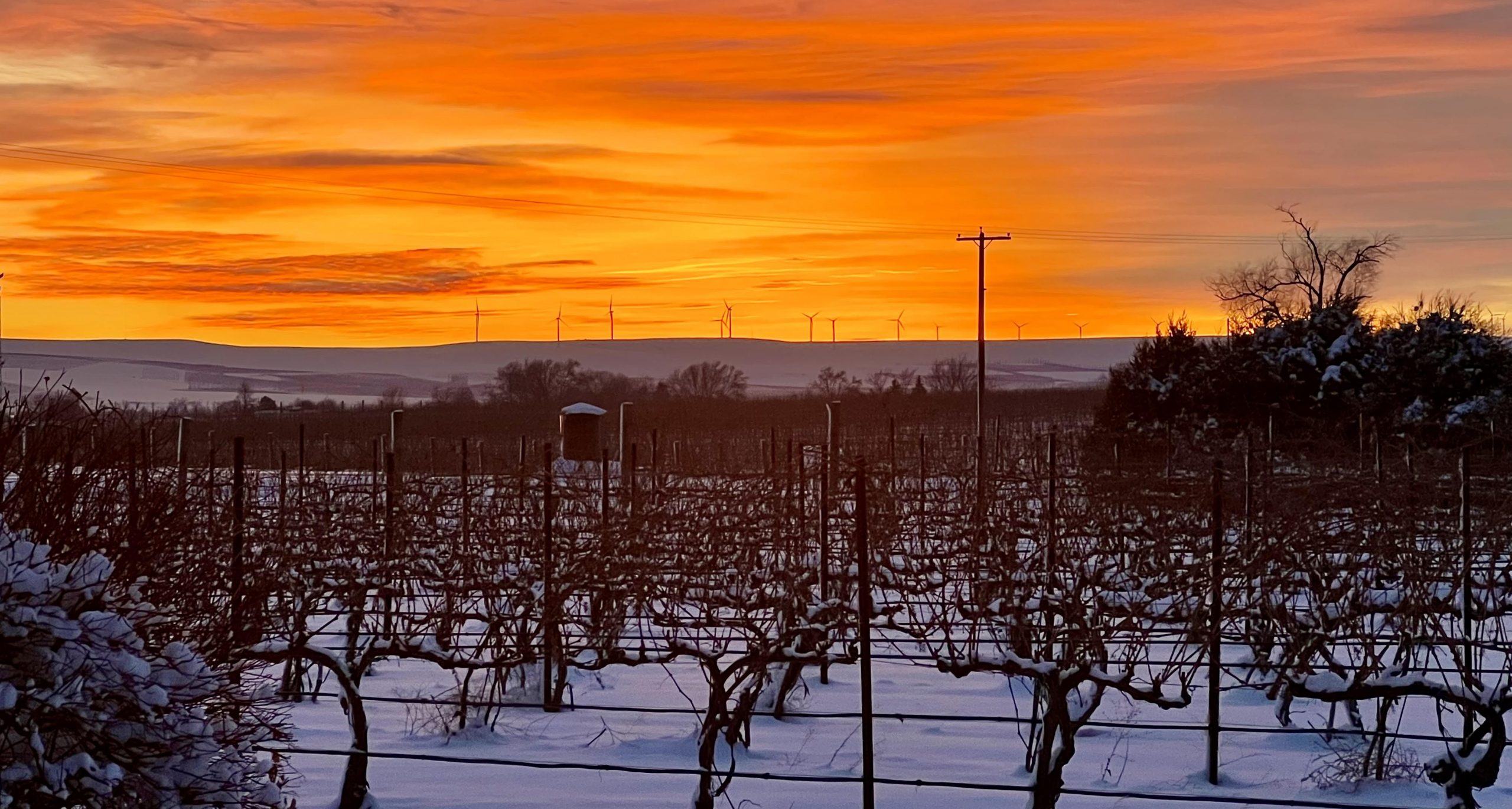 Mother Nature Strikes Again - Dumas Station Wines